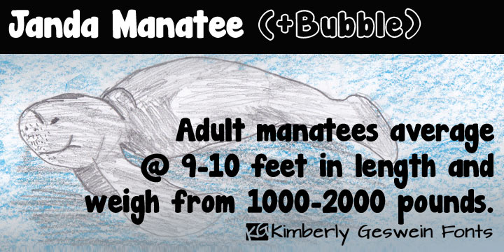 Janda Manatee - Kimberly Geswein Fonts